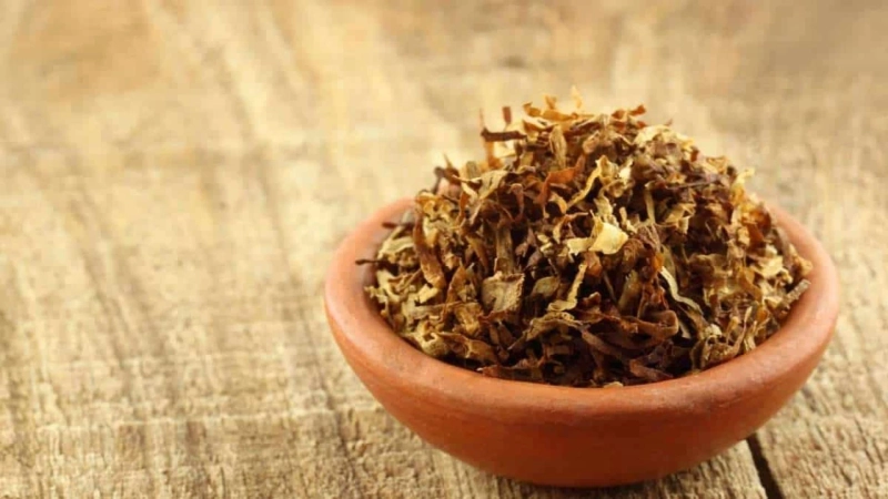 Grabba Leaf vs Fronto Leaf: What's The Difference? - TheOmniBuzz